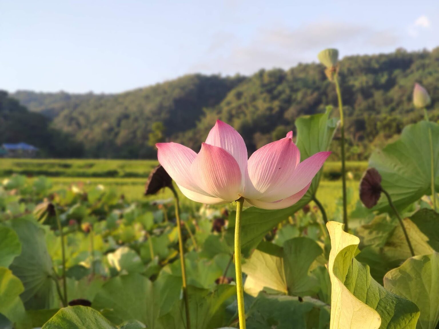 Top 30 Tourist Destinations in La Union - nomadworkationretreat