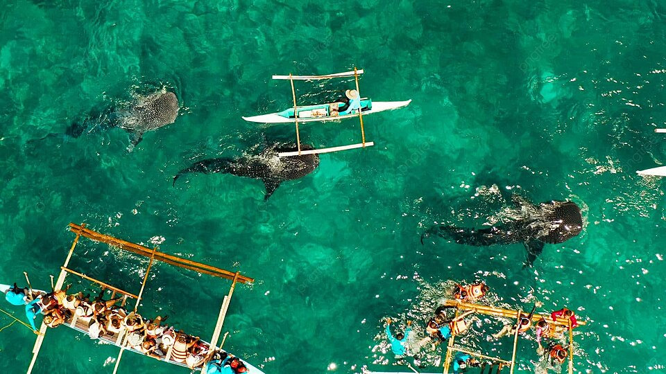 Ultimate Guide to Cebu - nomadworkationretreat